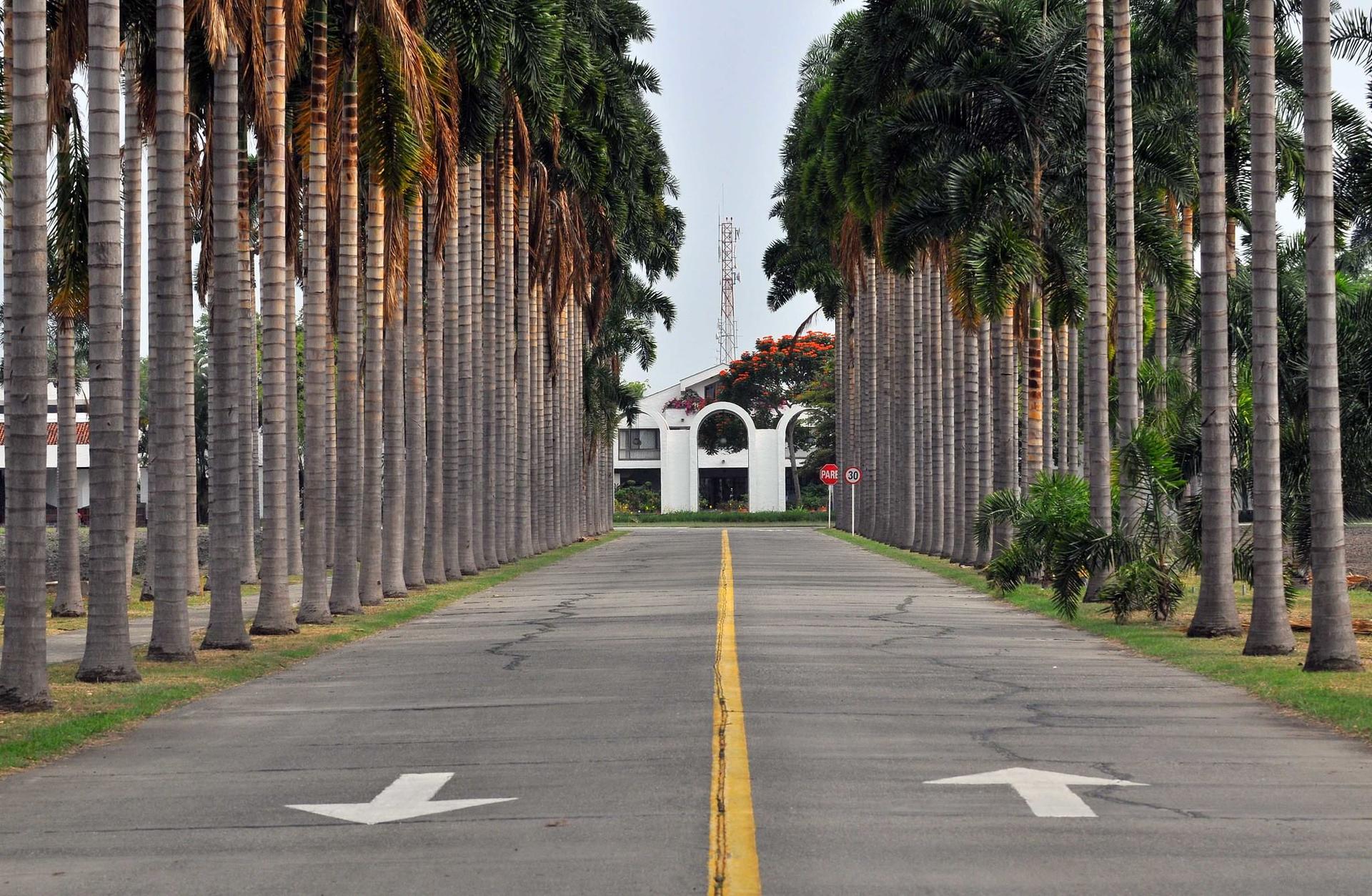 Careers | Alliance Bioversity International - CIAT